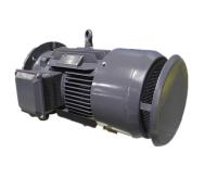 China YE3 180L-4 Low Voltage AC Asynchronous Motor 22kW 41.8A for sale