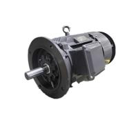 China YE3 200L-4 30kW Three Phase Squirrel Cage Motor 1475RPM for sale
