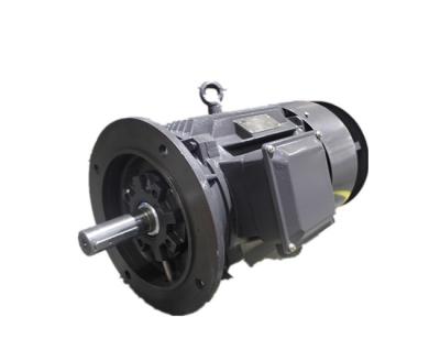 China YE3 200L-4 30kW Three Phase Squirrel Cage Motor 1475RPM for sale