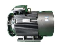 China Class F IMB3 Low Voltage AC Asynchronous Motor YE3 180M-4 18.5kW for sale