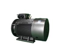 China 92.5% High Efficiency Asynchronous Electric Motor YE3 112M-4 4kW 380V for sale