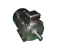 China IP55 Class F Low Voltage AC Asynchronous Motor YE3 160L-4-15kW 28.8A for sale