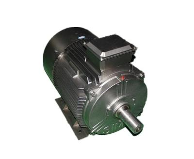 China IP55 Class F Low Voltage AC Asynchronous Motor YE3 160L-4-15kW 28.8A for sale