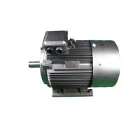 China YE3 315L1-4 160kW 380V Low Voltage 3 Phase Motor Class F IP55 for sale
