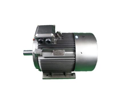 China YE3 315L1-4 160kW 380V Low Voltage 3 Phase Motor Class F IP55 for sale