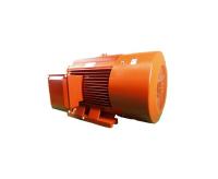 China YE3 315L2-2 200KW Low Voltage Permanent Magnet Synchronous Motor H80-H355 Frame for sale