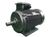 China YE4 80M1-2 0.75KW LV Three Phase Asynchronous Motor IC411 Cooling for sale