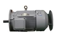 China IP55 LV AC Asynchronous Motor YE3 225M-2 45KW 380V 50Hz for sale