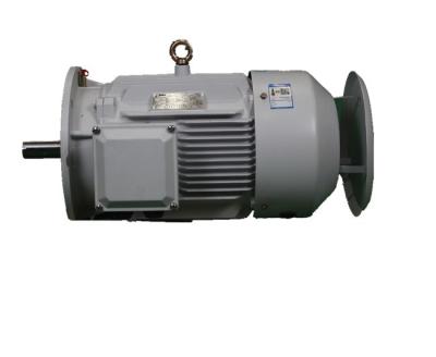 China IP55 LV AC Asynchronous Motor YE3 225M-2 45KW 380V 50Hz for sale