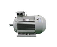 China 132KG 3 Phase Squirrel Cage Induction Motor YE3 160M2-2 15KW for sale
