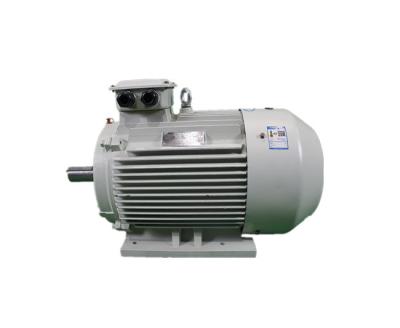 China 132KG 3 Phase Squirrel Cage Induction Motor YE3 160M2-2 15KW for sale