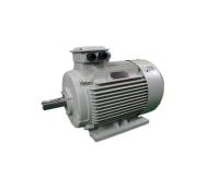 China 11KW 10 Pole 12 Pole Low Voltage 3 Phase Motor YE3 160M1-2 2950RPM for sale
