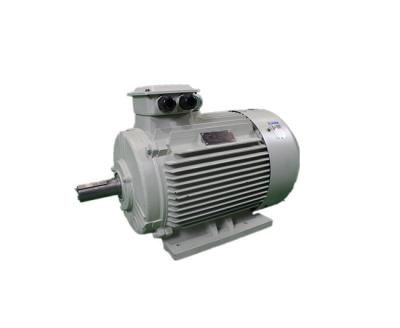China 11KW 10 Pole 12 Pole Low Voltage 3 Phase Motor YE3 160M1-2 2950RPM for sale