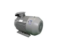 China 7.5KW 4 Pole 6 Pole 3 Phase Motor YE3 132S2-2 AC Asynchronous Motor for sale