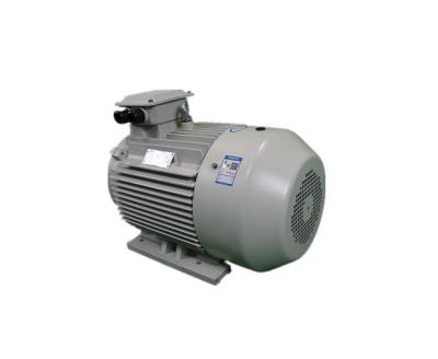 China 7.5KW 4 Pole 6 Pole 3 Phase Motor YE3 132S2-2 AC Asynchronous Motor for sale