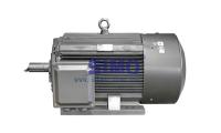 China YE3 112M-2 88.1% High Efficiency 3 Phase Induction Motor 4KW 380V for sale