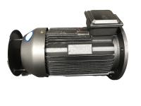 China Simo 37KW 67.4A IP55 Variable Frequency Asynchronous AC Motor YE3 200L2-2 for sale