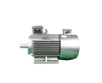China 92.4% High Efficiency 3 Phase Induction Motor YVFE3 160L-2 18.5kW for sale