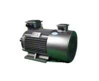 China YVFE3 180M-2 IMB3 High Efficiency Three Phase IP23 Motor 22kW 380V for sale
