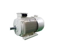 China YVFE3 132S1-2 Variable Frequency Motor 5.5KW High Voltage Electric Motor for sale