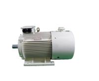 China IP55 Industrial 3 Phase Variable Frequency Motor YVFE3 100L-2 3kW for sale