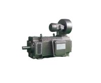 China H100 H450 Frame DC Motors Z4 112/2-2 3kW 160V Squirrel Cage Asynchronous Motor for sale