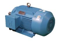 China YE3-315S-2 110 380V IP55 IM B3 Three Phase Asynchronous Motor LV for sale
