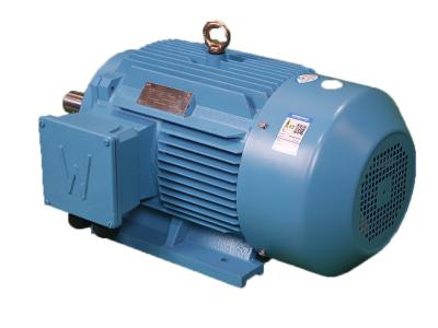 China YE3-315S-2 110 380V IP55 IM B3 Three Phase Asynchronous Motor LV for sale