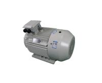 China YE3-315M-2 Three Phase Asynchronous Motor 132KW 380V IP55 Class F-IM B3 for sale