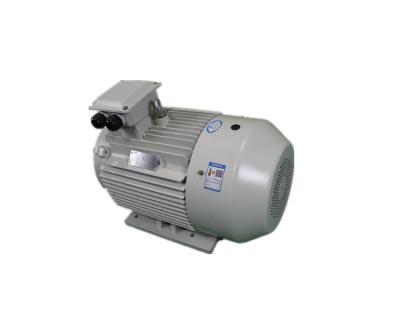 China YE3-315M-2 Three Phase Asynchronous Motor 132KW 380V IP55 Class F-IM B3 for sale