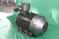 China IP55 18.5kW Explosion Proof Electric Motor YBX3 180M-4 3 Phase Induction Motor for sale