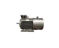 China YVFE3 90S-2 1.5kW Variable Frequency Motor H80-H355 Frame for sale