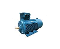 China YVFE3 80M2-2 1.1 kW High Efficiency 3 Phase Induction Motor 2880RPM for sale