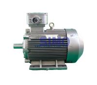 China Exd II BT4 Gb Explosion Proof Electric Motor YBX3 315S-4 3 Phase Electric Motors for sale