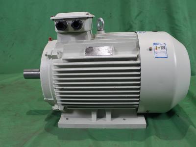 China YE3 90S-6 Class F AC Asynchronous Motor 0.75kW IP55 for sale