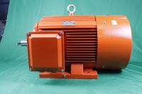 China YE3 100L1 6 Pole Class F 3 Phase Asychronous Motor 1.5kW IP55 for sale