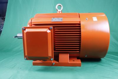 China YE3 100L1 6 Pole Class F 3 Phase Asychronous Motor 1.5kW IP55 for sale