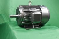 China YE3-132S-6-3-380V-IP55-Class F-IM B3 AC Asynchronous Motor Long Life for sale