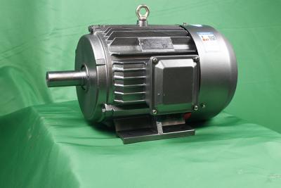 China YE3-132S-6-3-380V-IP55-Class F-IM B3 AC Asynchronous Motor Long Life for sale