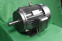 China YE3-132M1-6-4-380V-IP55-Class F-IM B3 Induction Motor 3 Phase Energy Saving for sale