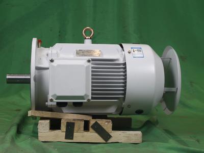 China YE3 160M-6-7.5-380V-IP55-Class F-IM B3 AC Asynchronous Motor Locked Torque for sale