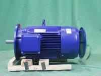 China YE3-160L-6-11-380V-IP55-Class F-IM B3 Asynchronous Motor 3 Phase Variable Frequency for sale