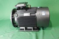 China YE3 200L1 6 18.5 380V IP55 AC Asynchronous Motor High Efficiency LV Variable Frequency for sale
