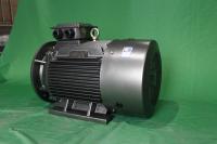 China YE3-200L2-6-22-380V-IP55-Class F-IM B3 Asynchronous Electric Motor LV for sale
