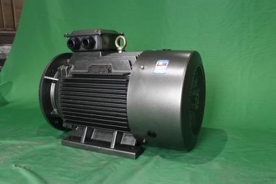 China YE3-200L2-6-22-380V-IP55-Class F-IM B3 Asynchronous Electric Motor LV for sale
