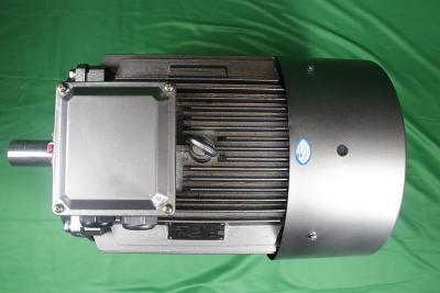 China YE3-225M-6-30-380V-IP55-Class F-IM B3 LV AC Asynchronous Motor High Efficiency for sale