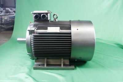 China YE3-250M-6-37-380V-IP55-Class F-IM B3 3 Phase Asynchronous Motor LV Variable Frequency for sale