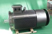 China YE3-280S-6-45-380V-IP55-Class F-IM B3 Three Phase Asynchronous Motor LV Variable Frequency for sale