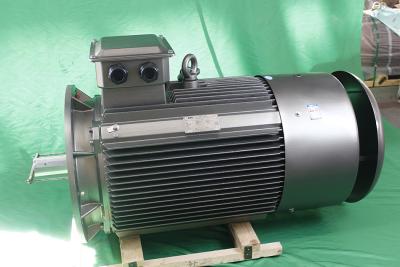 China YE3-280S-6-45-380V-IP55-Class F-IM B3 Three Phase Asynchronous Motor LV Variable Frequency for sale