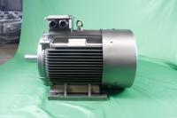 China 55kW IP55 Asynchronous Motor 3 Phase YE3 280M 6 Pole Class F for sale